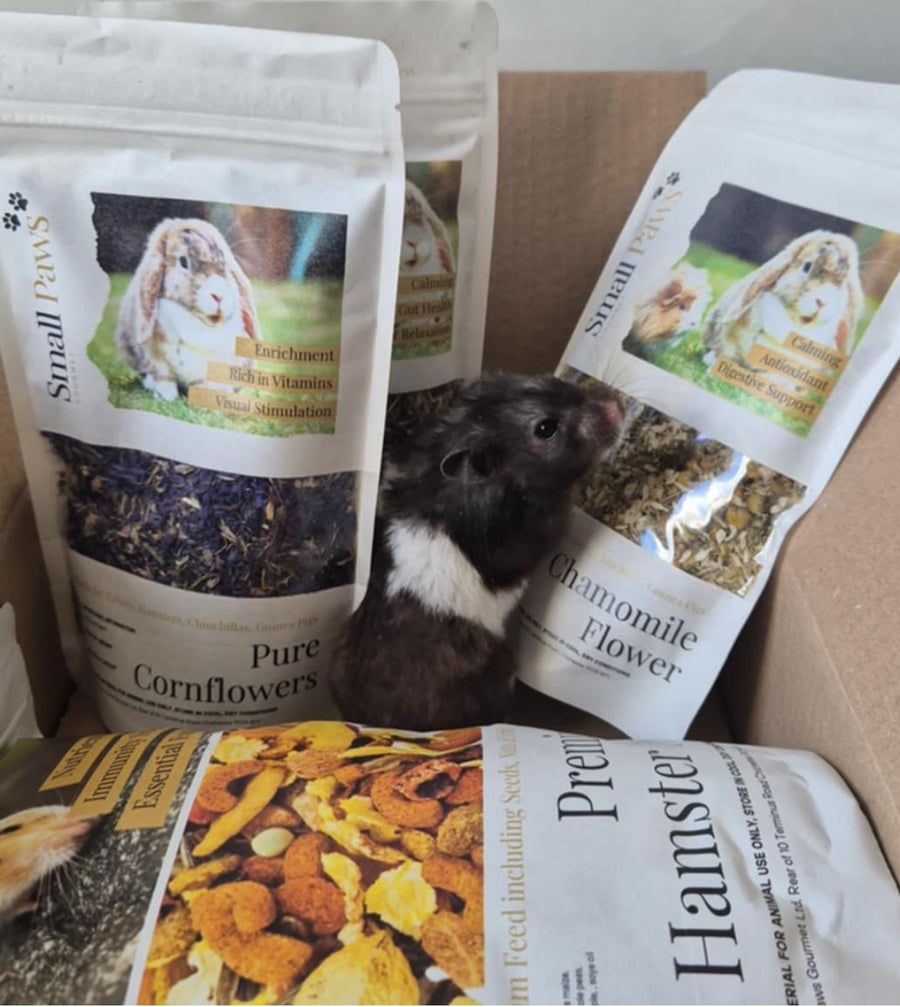 about us – Small Paws Gourmet