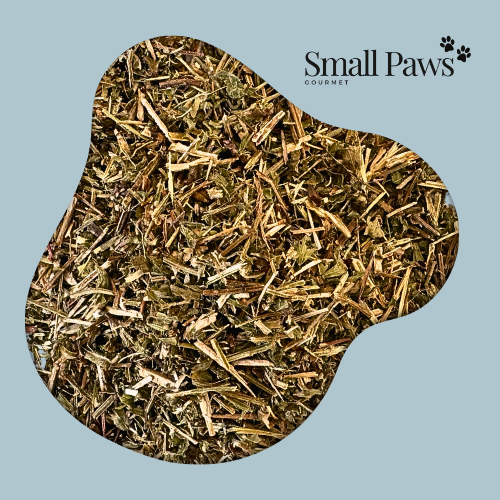 Lemon Balm – Small Paws Gourmet