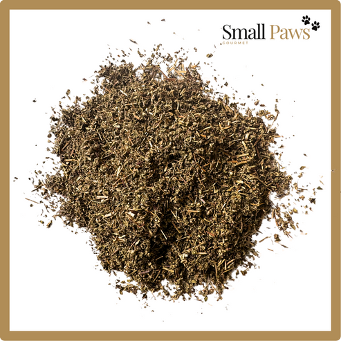 Mint – Small Paws Gourmet